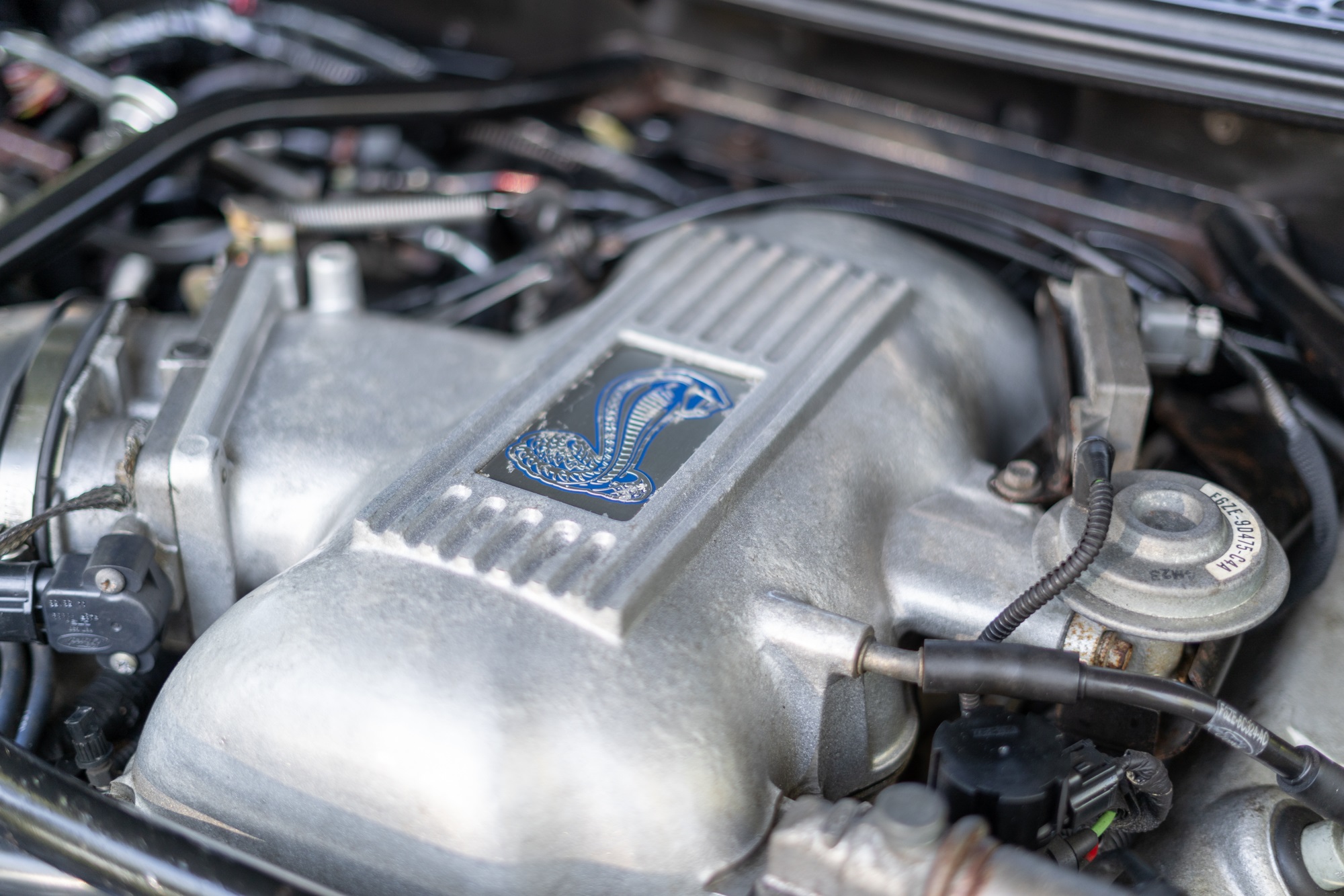 Lot 73 - 1997 Ford Mustang SN95 SVT Cobra Convertible