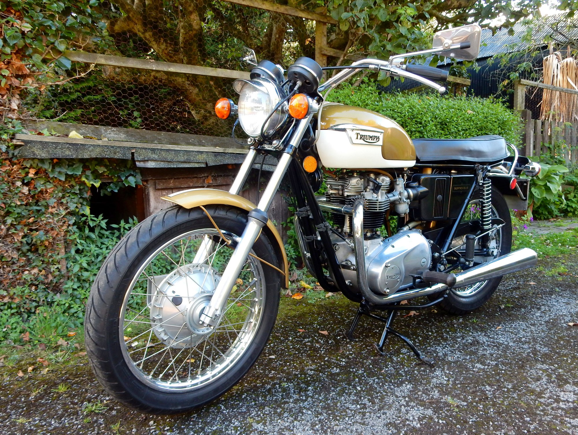 Lot 9 - 1973 Triumph Bonneville