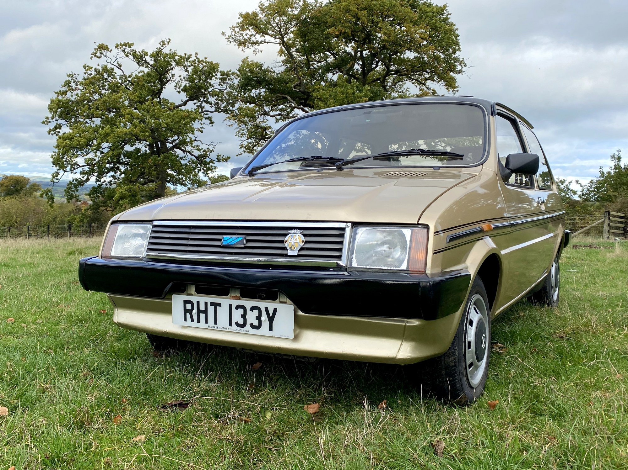 Lot 49 - 1983 Austin Metro Vanden Plas