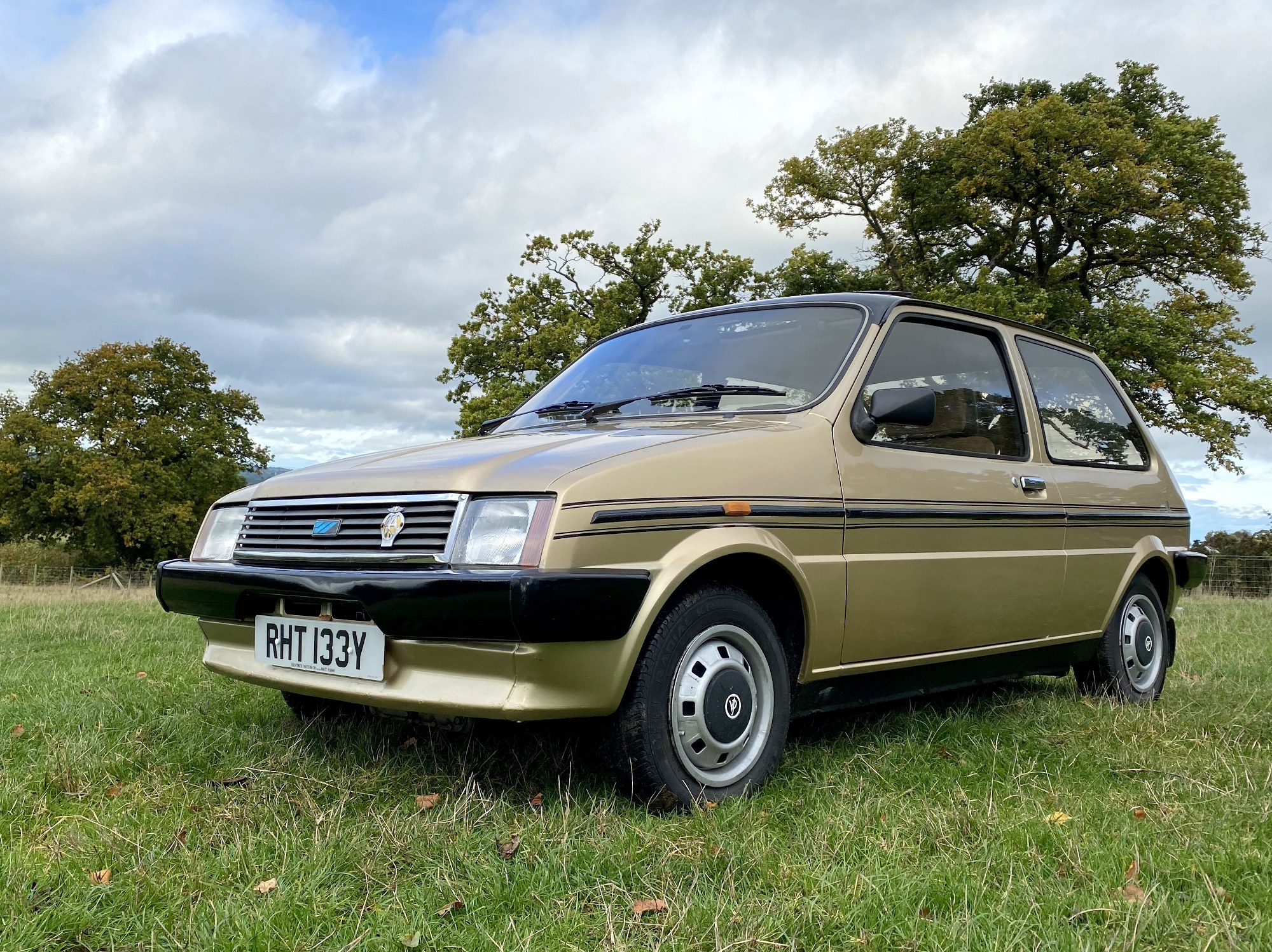 Lot 49 - 1983 Austin Metro Vanden Plas